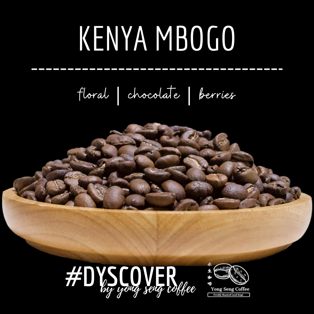 Kenya Mbogo (May-Jun 2023) – Yong Seng Coffee