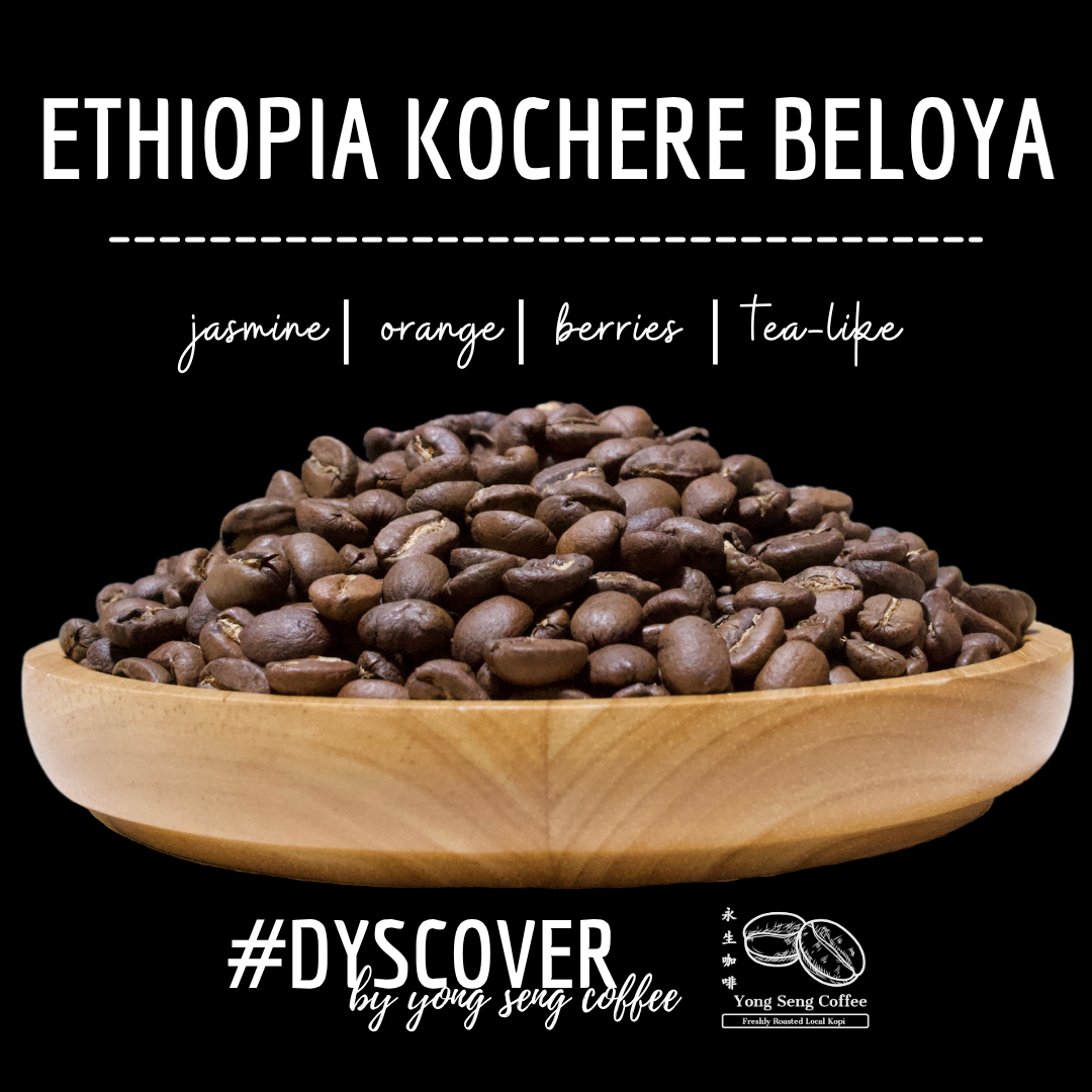 Ethiopia Kochere Beloya (Oct - Nov 2025) – Yong Seng Coffee